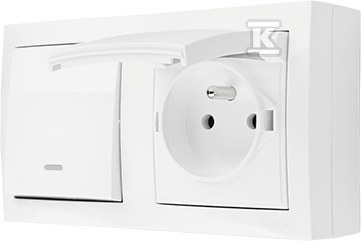 Surface-mounted single pole switch, 10 AX, 250 V ~, + single socket, 16 ...
