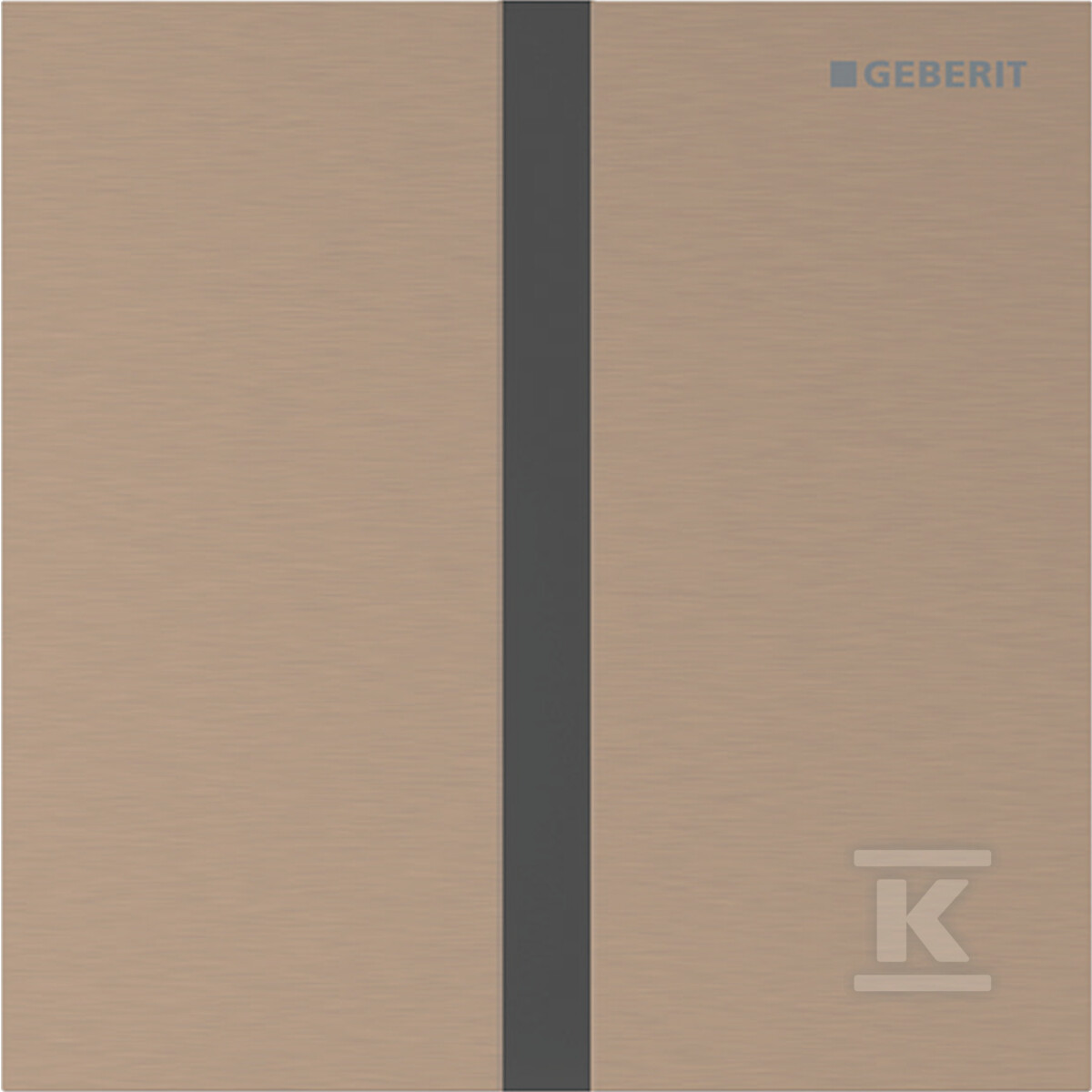 Elektroniczny zawór spłukujący Geberit do pisuaru, zasilanie 230V, Typ ...