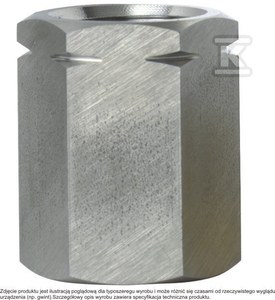 Redukcja manometru GZ G1/4 na WEW M12x1,5, mosiądz 5334555 - Hurtownia ...