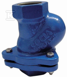 Ball check valve, cast iron Rp 2 4027331 - Onninen Wholesale